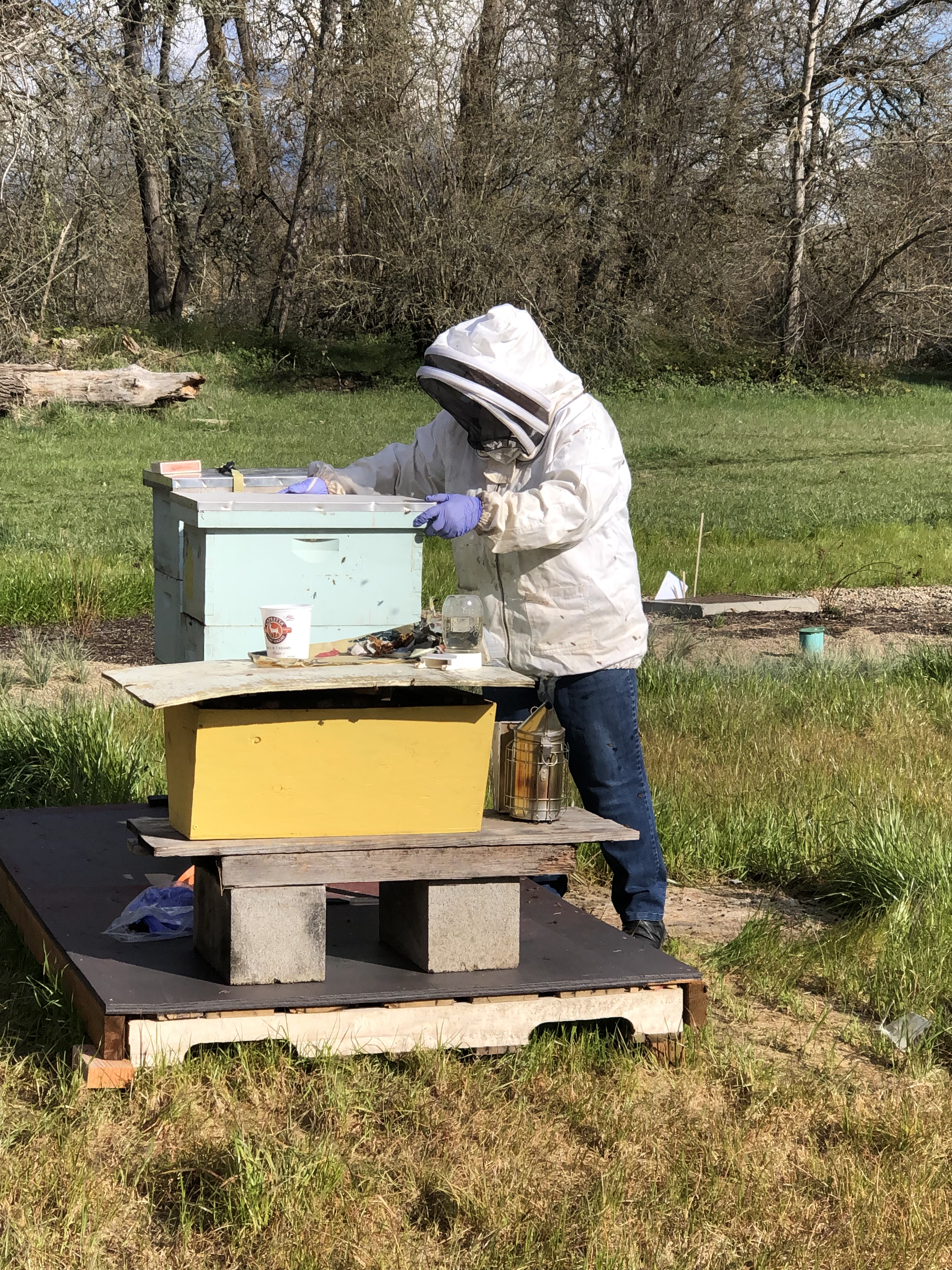 bees – River Song Cohousing